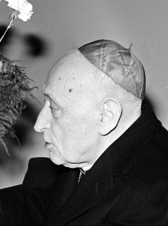 Causes des saints: le cardinal hongrois Jozsef Mindszenty, «héroïque ...