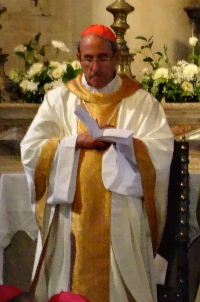 Le cardinal dos Santos Marto, membre du Dicastère pour les Causes des ...