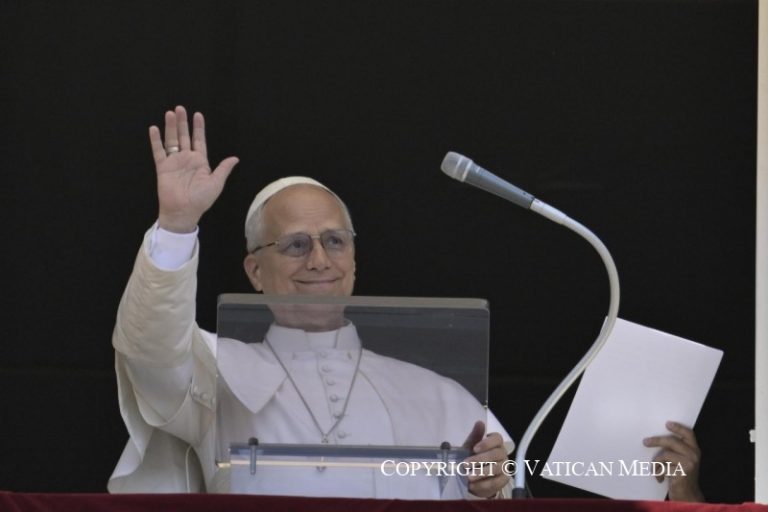 Angélus : « Chaque créature est faite pour la communion, la relation ...